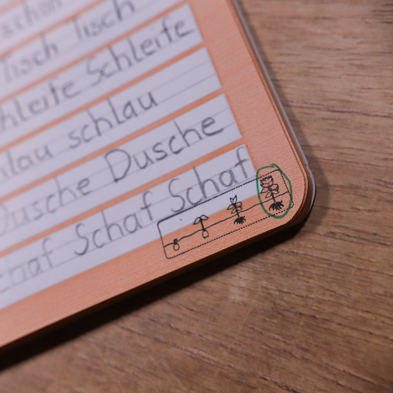 Stempel Rückmeldung Pflanzensymbole - Pflanzenstempel – Schulkrams